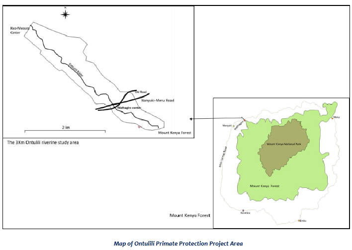 Ontulili Primates Protection – Wash Alliance